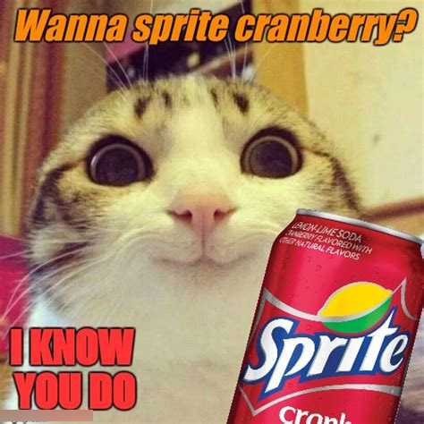 Sprite Cranberry Memes – Cranby